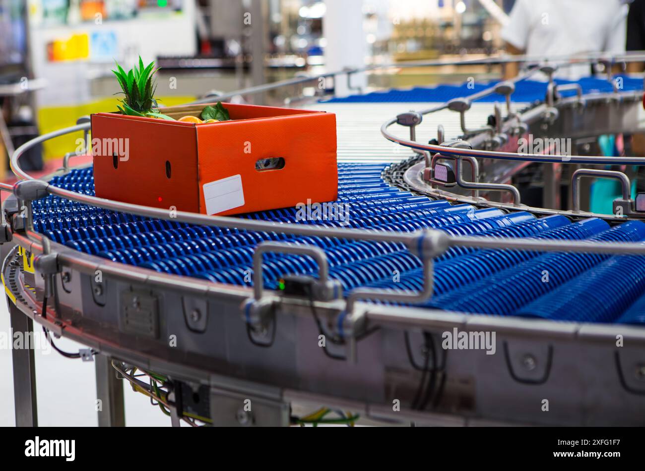 Package of fruits on conveyor. Packing fruits in box container in ...
