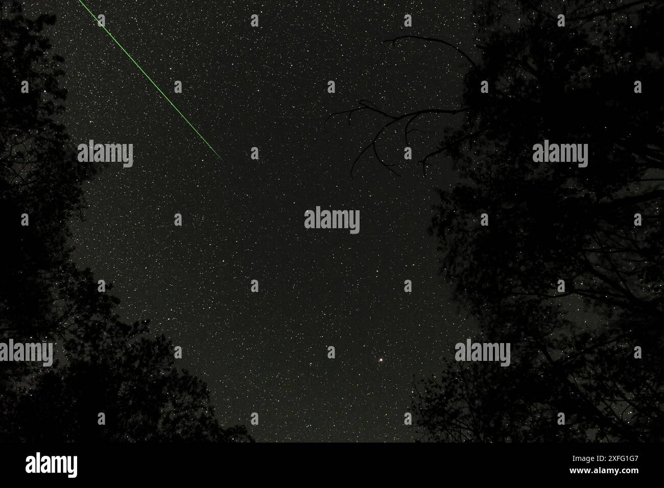 Starry sky with green laser beam framed by tree branches ...