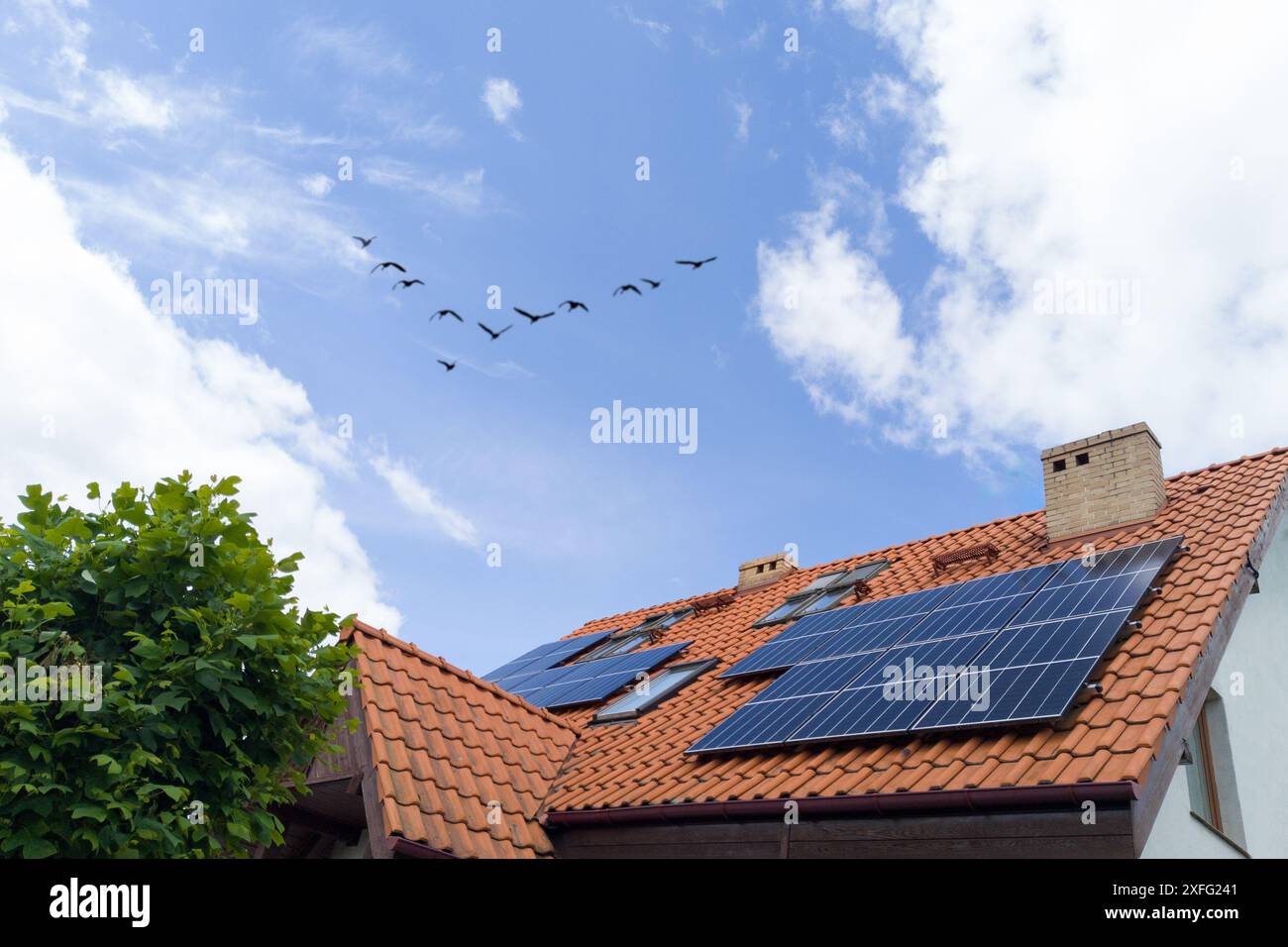 Solar Panels on Rooftop with Birds Flying Stock Photo - Alamy