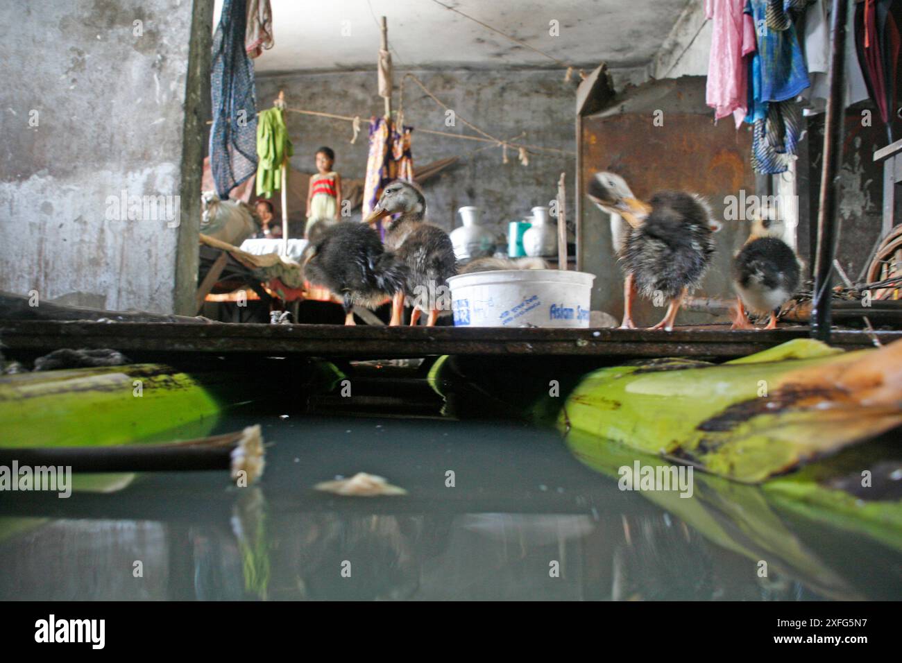 Resident of South Matuail at Shampur suffering for water logging, Dhaka ...