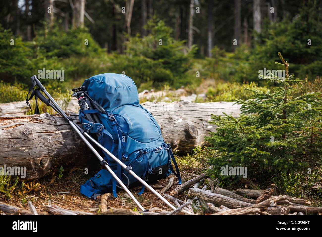 Backpack with tripod and hiking pole during trekking in forest. Outdoor ...