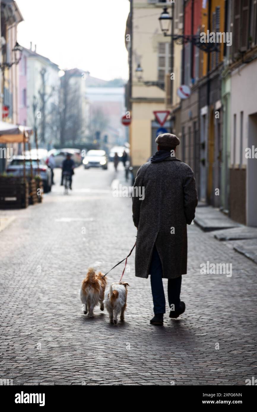 Man walking his dog through city alleyway Stock Photo - Alamy