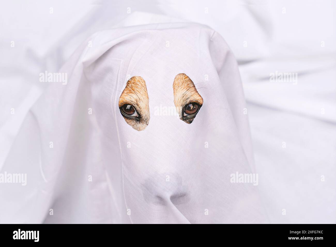 Peeking ghost hi-res stock photography and images - Alamy