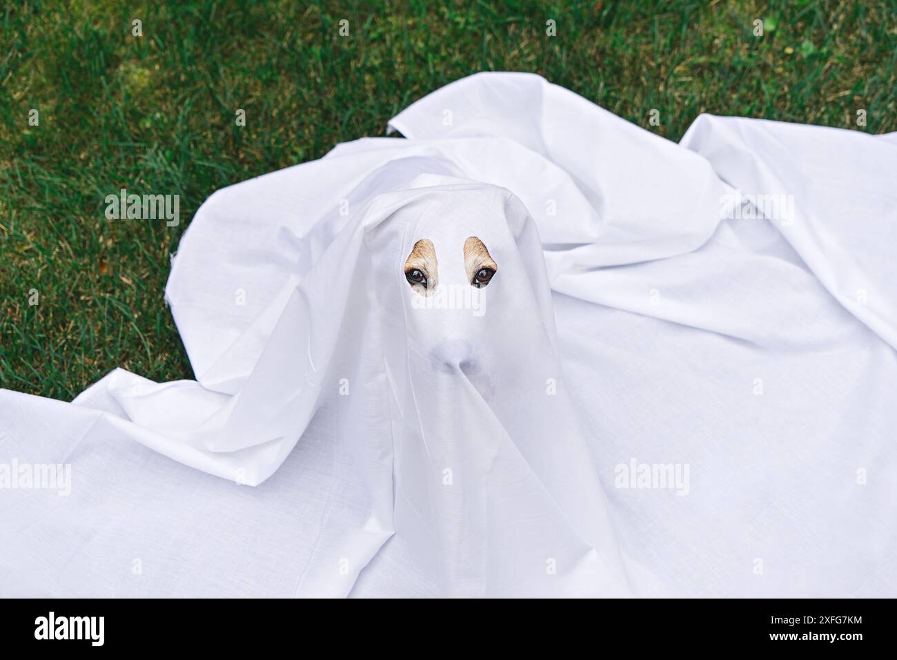 Peeking ghost hi-res stock photography and images - Alamy