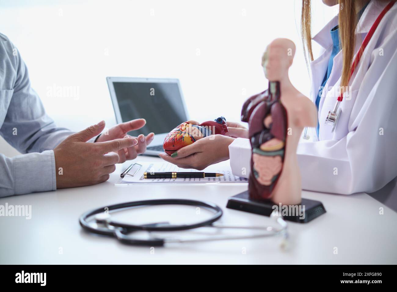 realistic looking heart model in hands of doctor is symbol of campaign ...