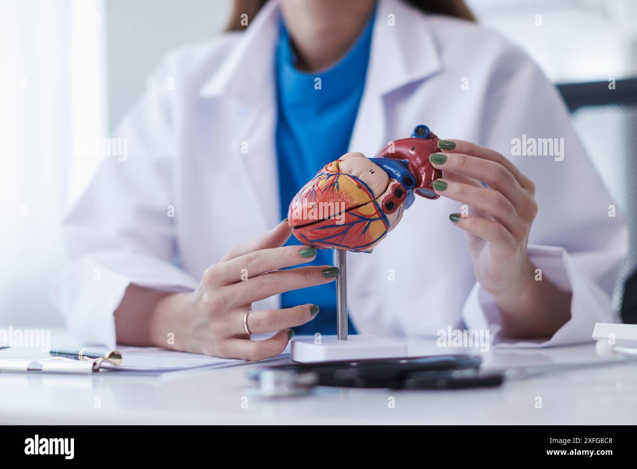 realistic looking heart model in hands of doctor is symbol of campaign ...