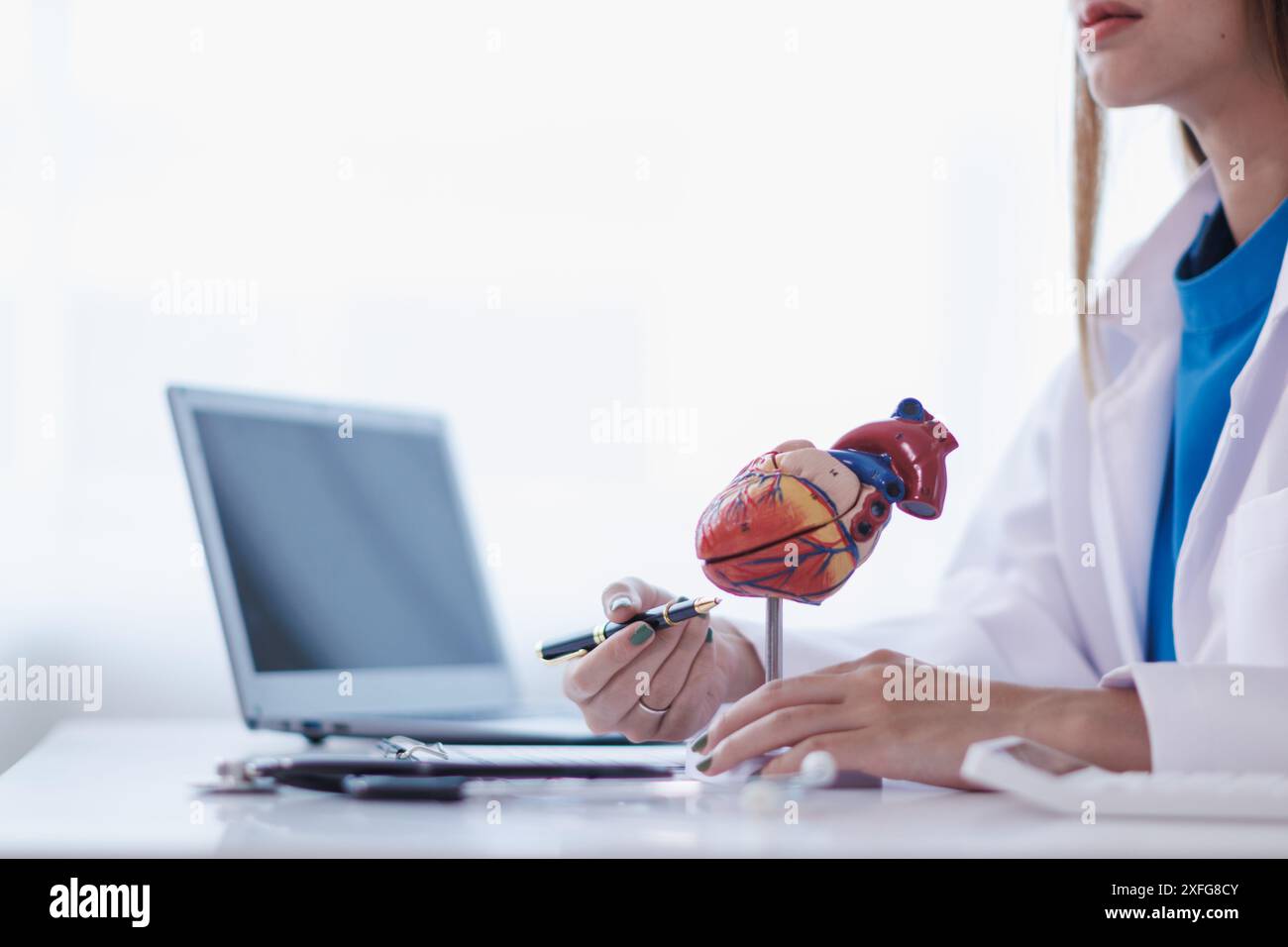 realistic looking heart model in hands of doctor is symbol of campaign ...