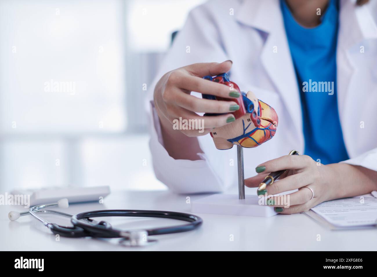 realistic looking heart model in hands of doctor is symbol of campaign ...