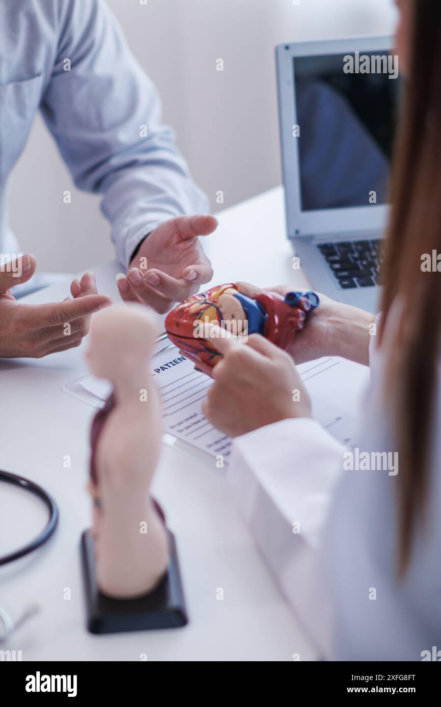 realistic looking heart model in hands of doctor is symbol of campaign ...