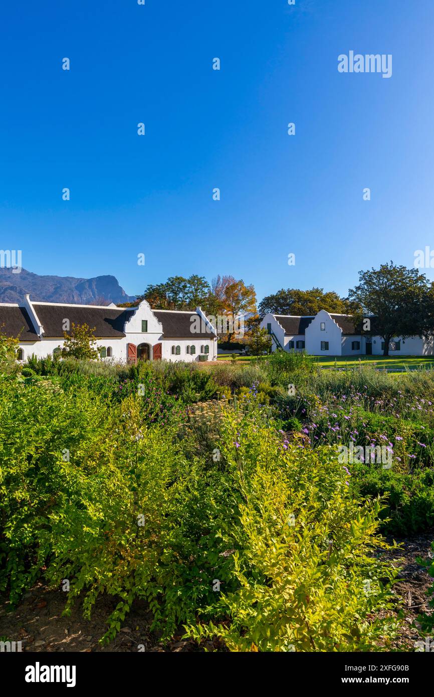 La Motte Wine Estate, Franschhoek Valley, Franschhoek, Western Cape ...