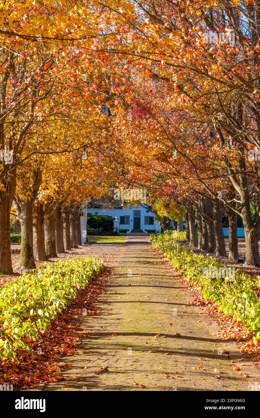 La Motte Wine Estate, Franschhoek Valley, Franschhoek, Western Cape ...
