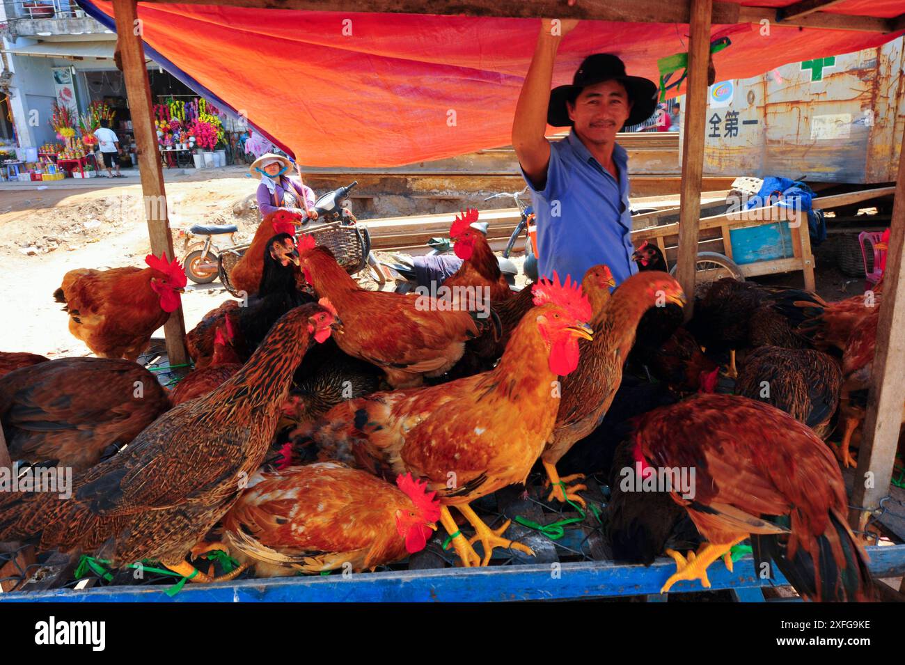 butcher and trade with meat, business and economy with food butcher and ...