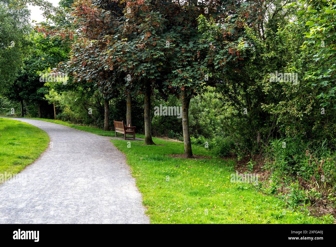 Country riverside footpath lined with trees with wooden bench seating ...