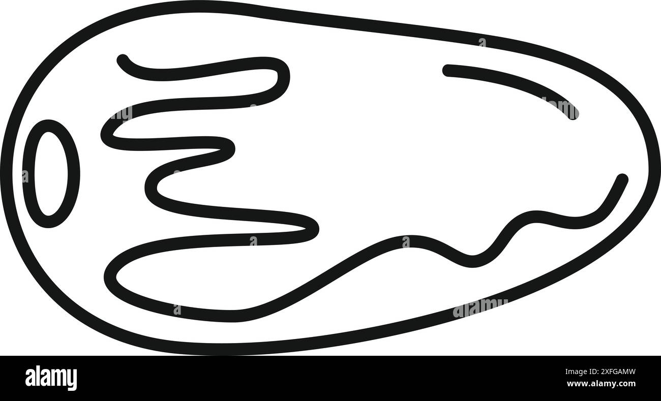 Line drawing of an eggplant, highlighting its elongated shape, smooth ...