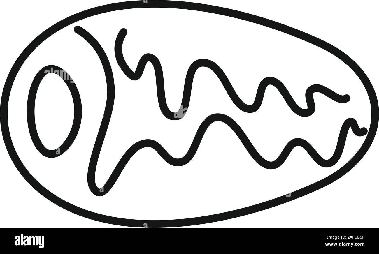 Simple line drawing representing the structure of a mitochondria, an ...