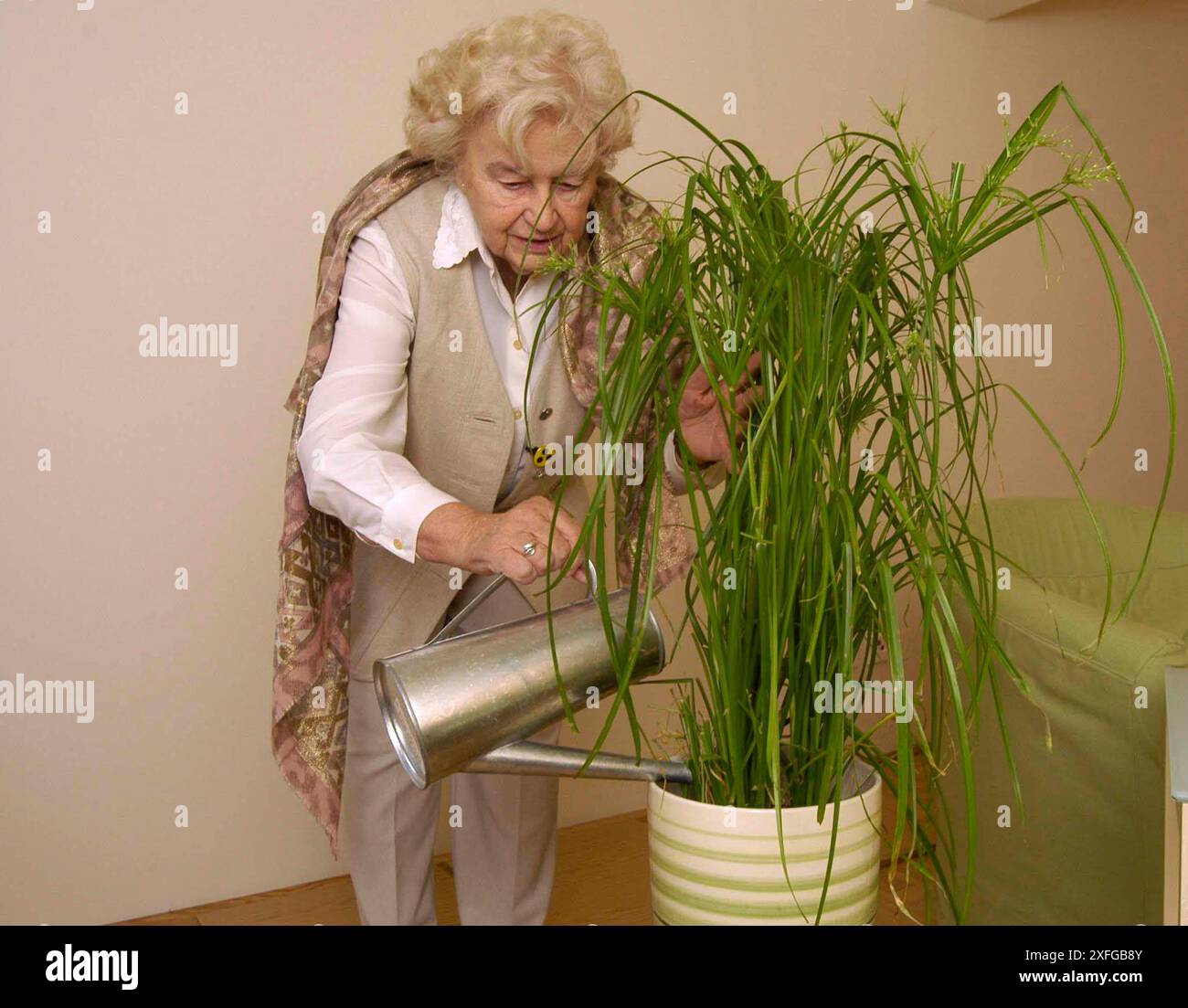 an old person or retiree, people in an old stage of life Old and ...