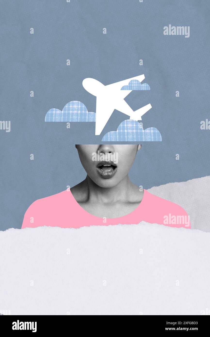 Vertical photo collage of shocked girl half face aircraft summer flight ...