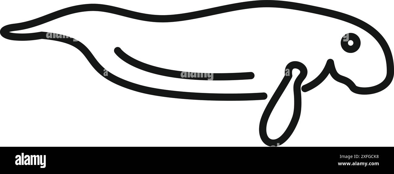 Simple line drawing of an amazon manatee swimming underwater Stock ...