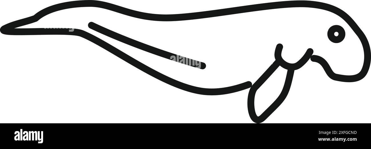 Simple line drawing illustration of a dugong swimming underwater Stock ...