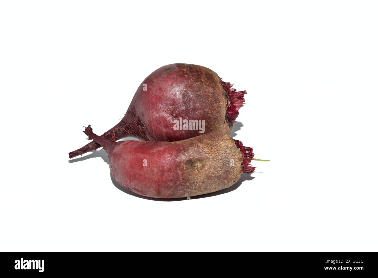 Two red beet fruits lie on a white background Stock Photo - Alamy