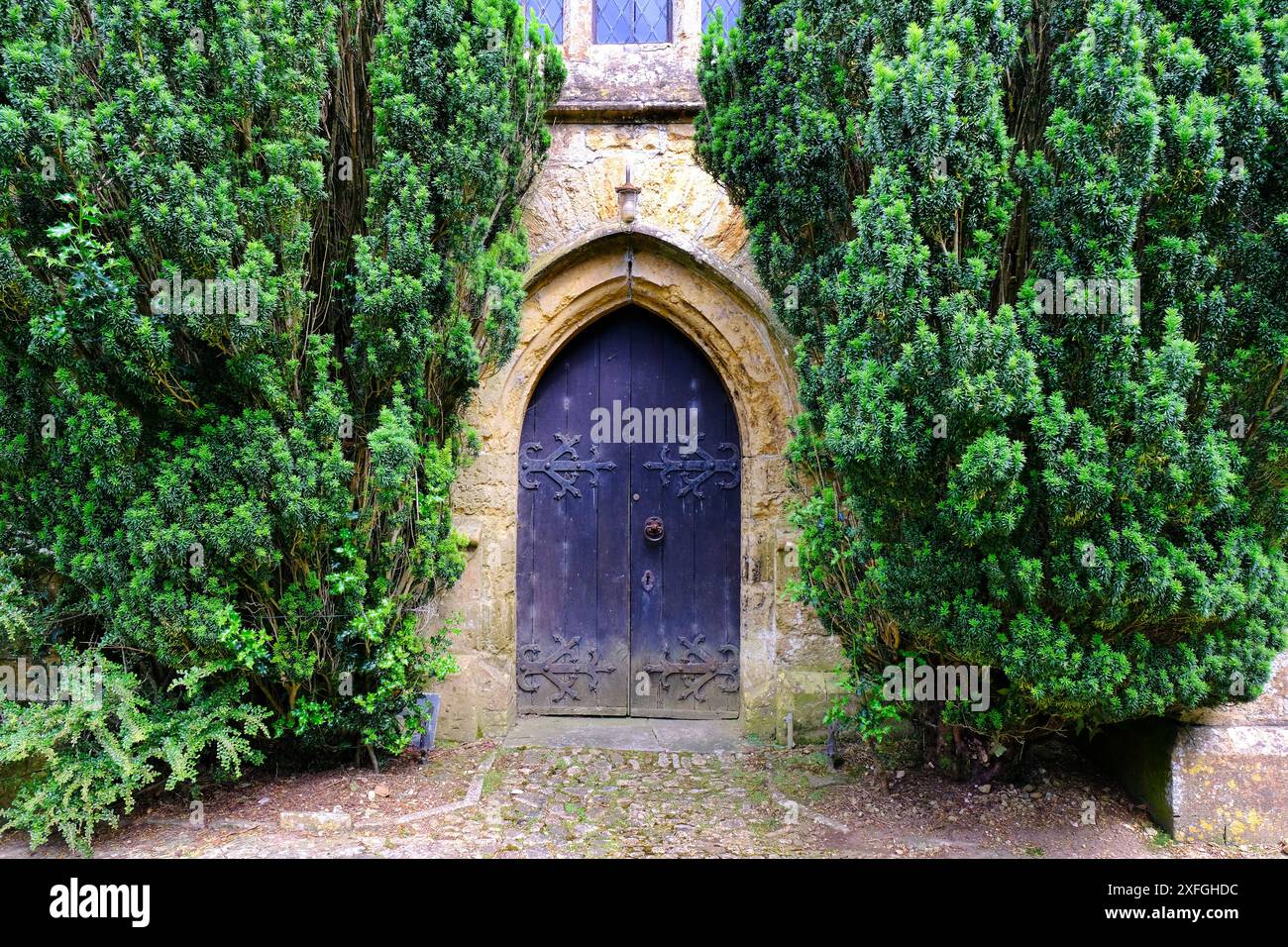 Guardian yew tree hi-res stock photography and images - Alamy