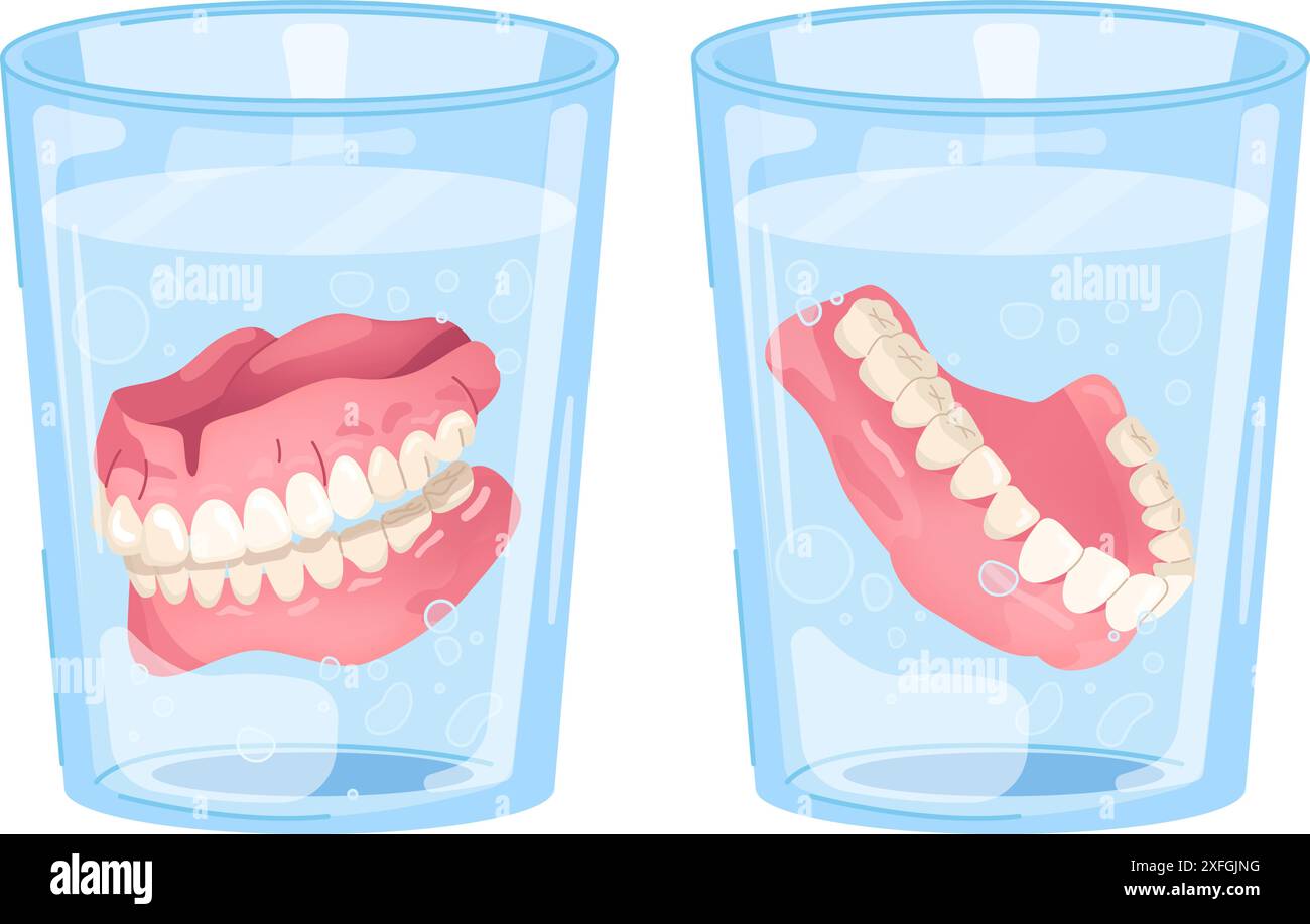 Denture in water. Smiling dentures false jaw removable tooth gum ...