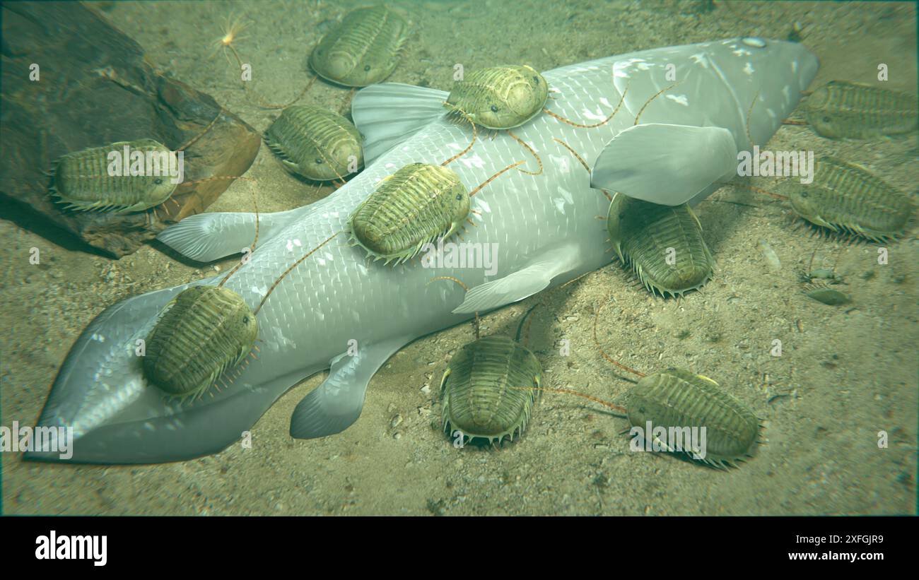 A 3D illustration of a group of the extinct Trilobite Paradoxides ...