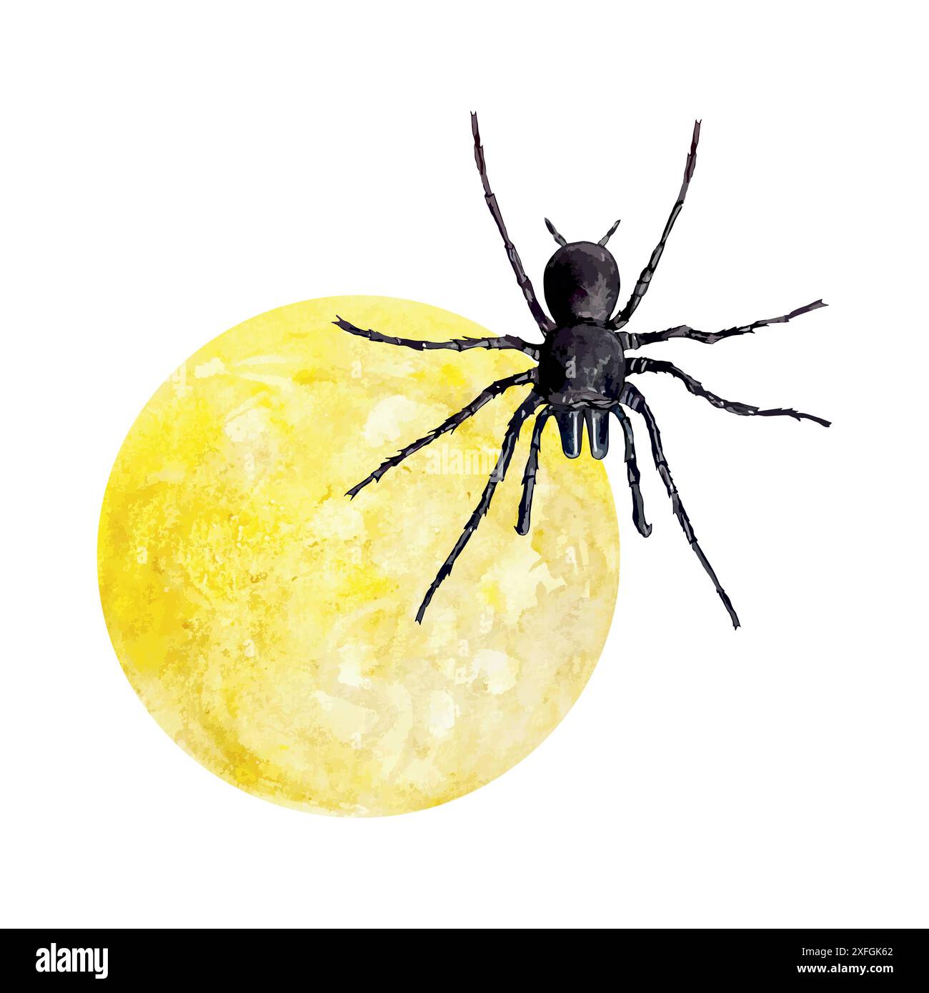 Spider and moon, watercolor. Hand drawn vector illustration. For Day of ...