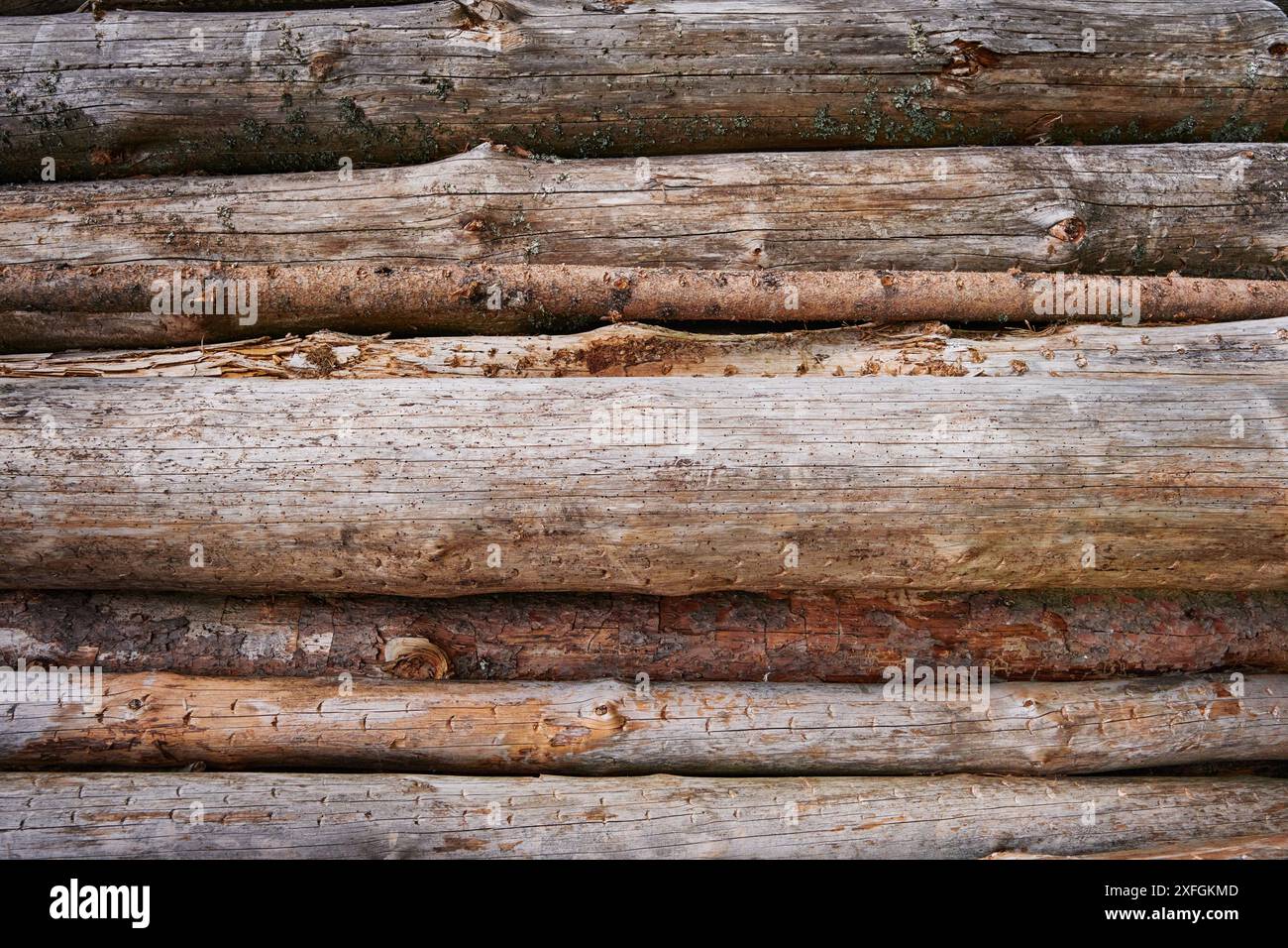 Wood logs background. Natural wooden background. Rows of piled of logs ...