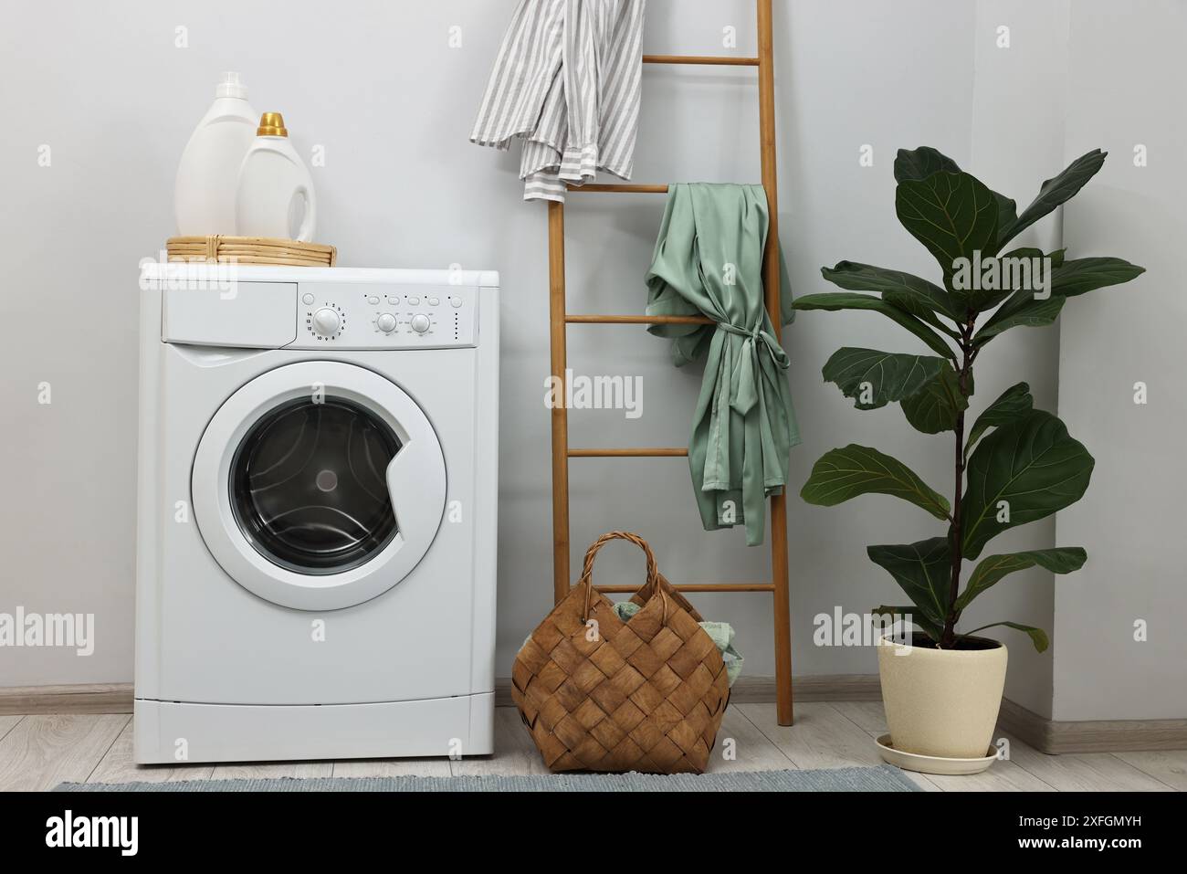 Washing machine, detergents, houseplant and ladder in laundry room ...