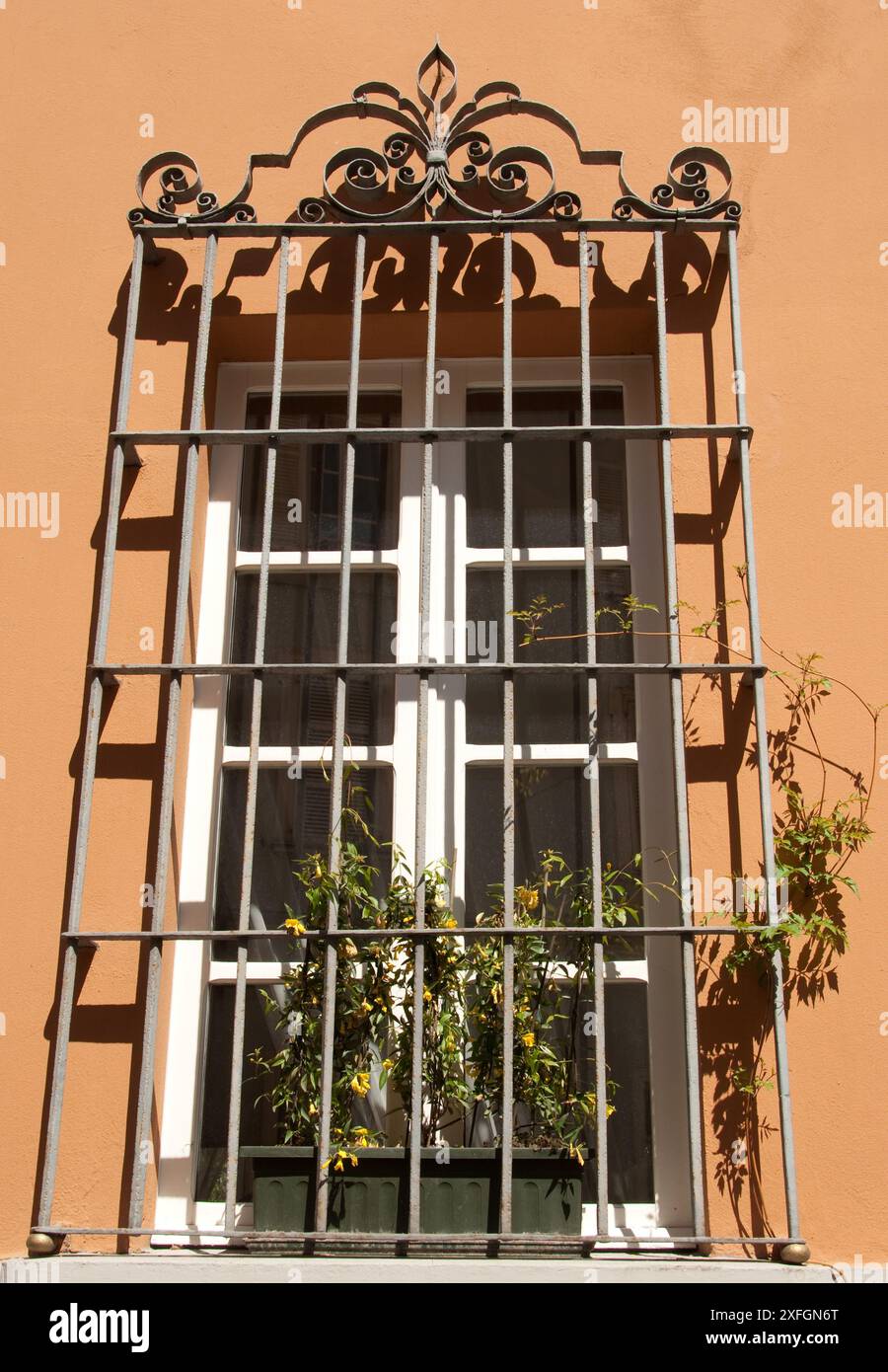 Window, Parma, Emilia Romagna, Italy - Parma is renowned for the ...