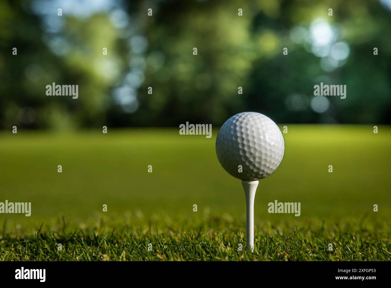 Golf course with ball and grass Stock Photo - Alamy