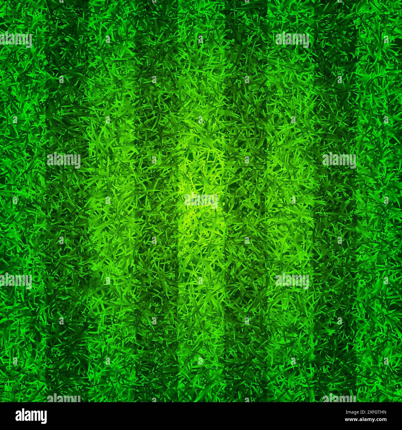Soccer playing field with green grass. Football pitch background with ...