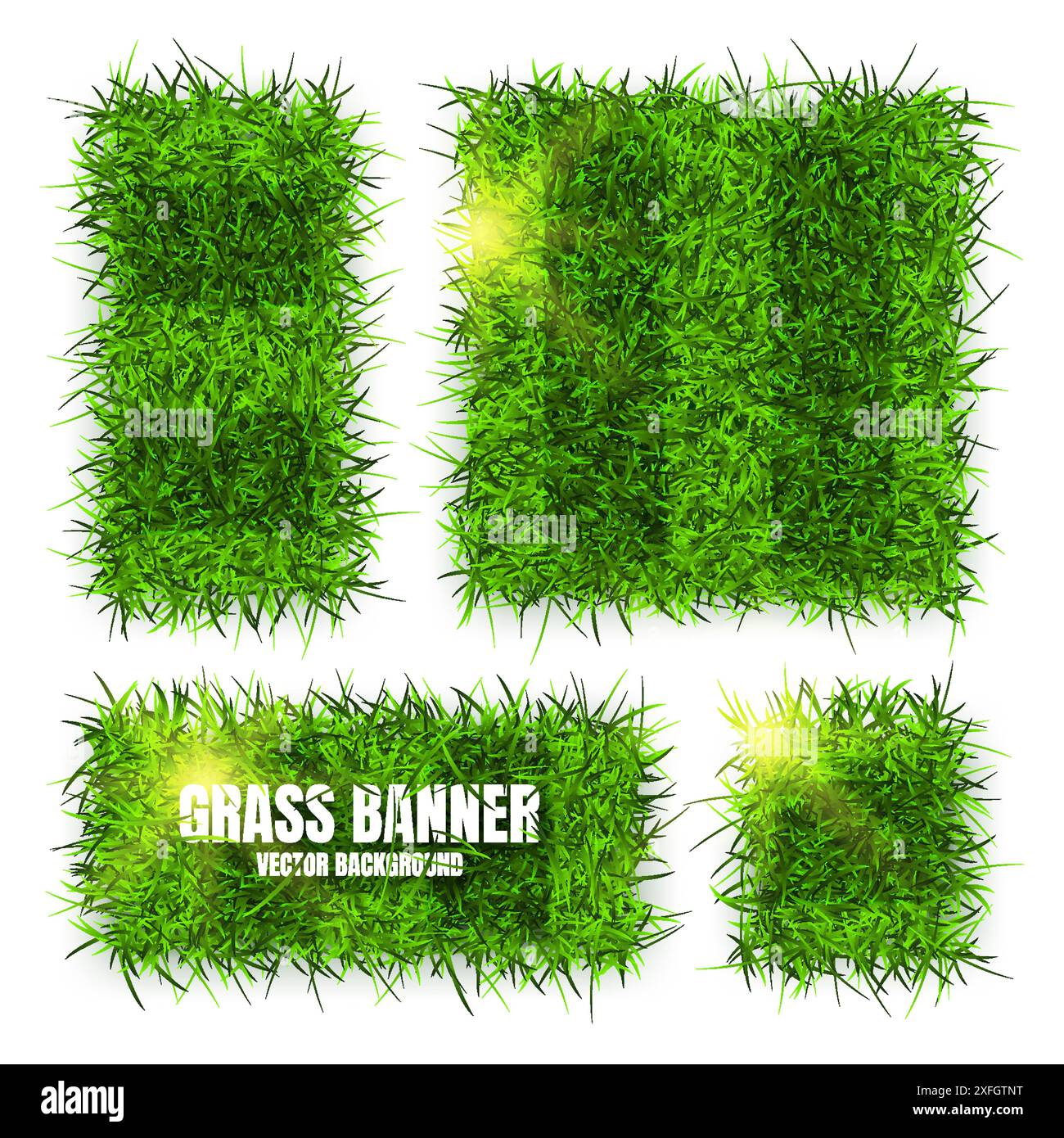 Green grass banners, background. Field, meadow texture, grassy ...