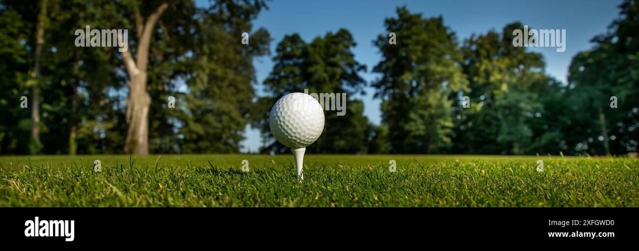 Golf course with ball and grass Stock Photo - Alamy