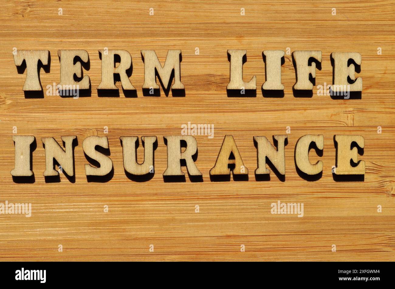 Term Life Insurance, words in wooden alphabet letters isolated on wood ...
