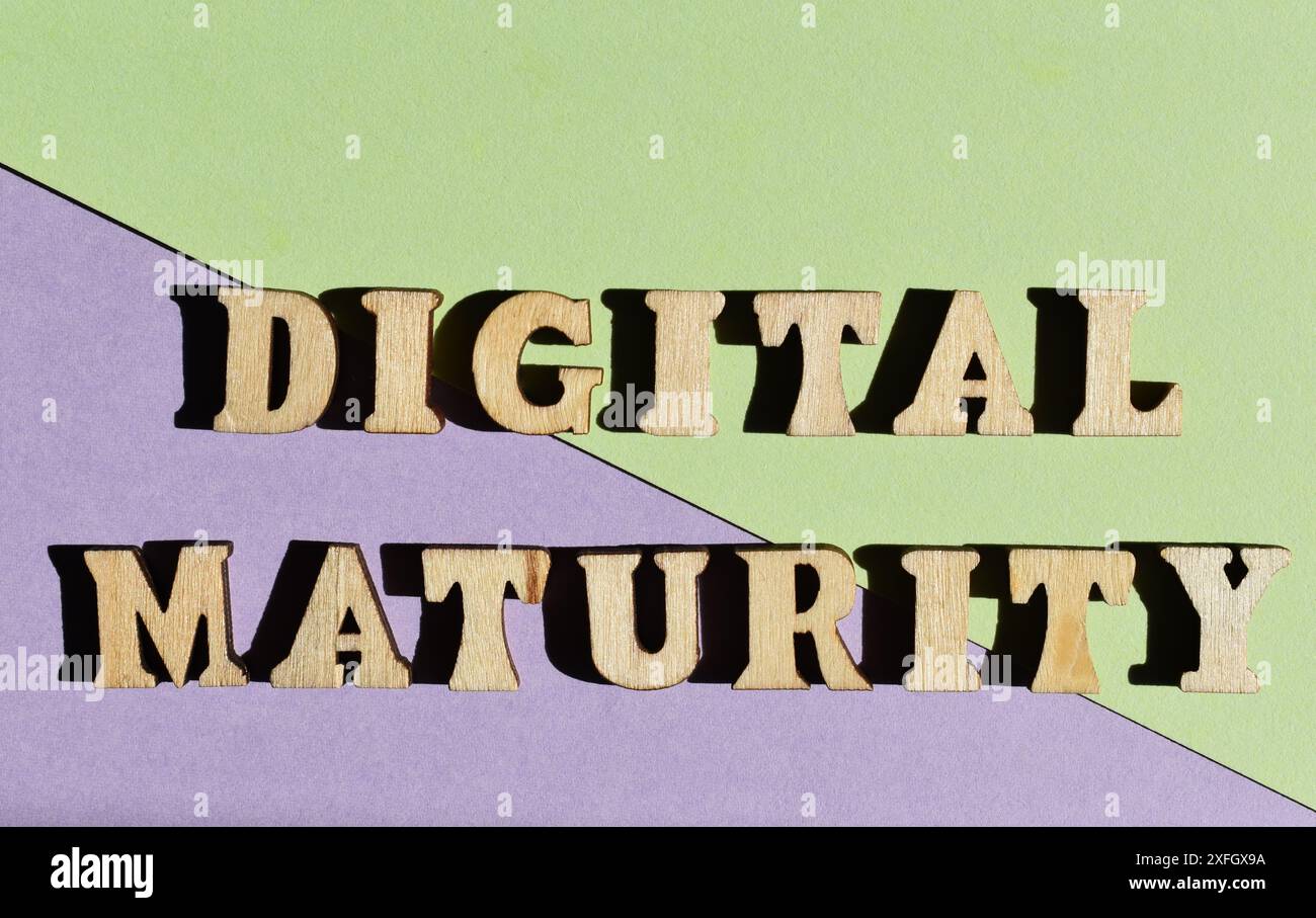 Digital Maturity, the ability of an organisation to respond to ...