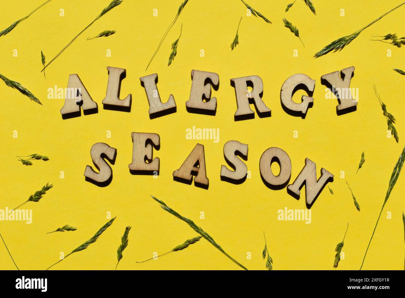 Allergy Season, words in wooden alphabet letters with grass seeds and ...