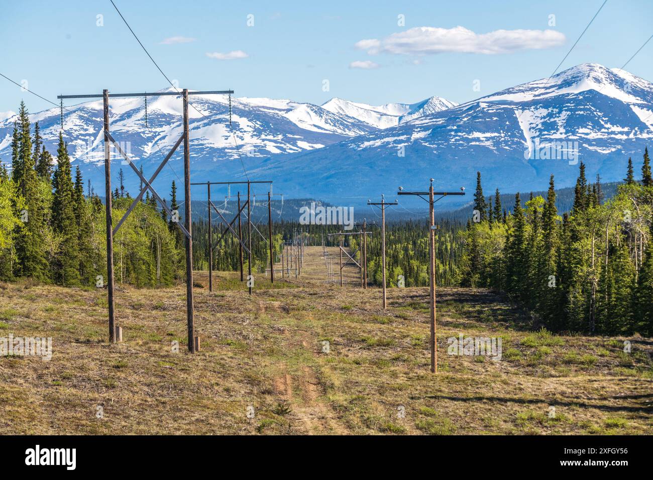 Electricity, power lines seen in rural Canada during summertime with ...