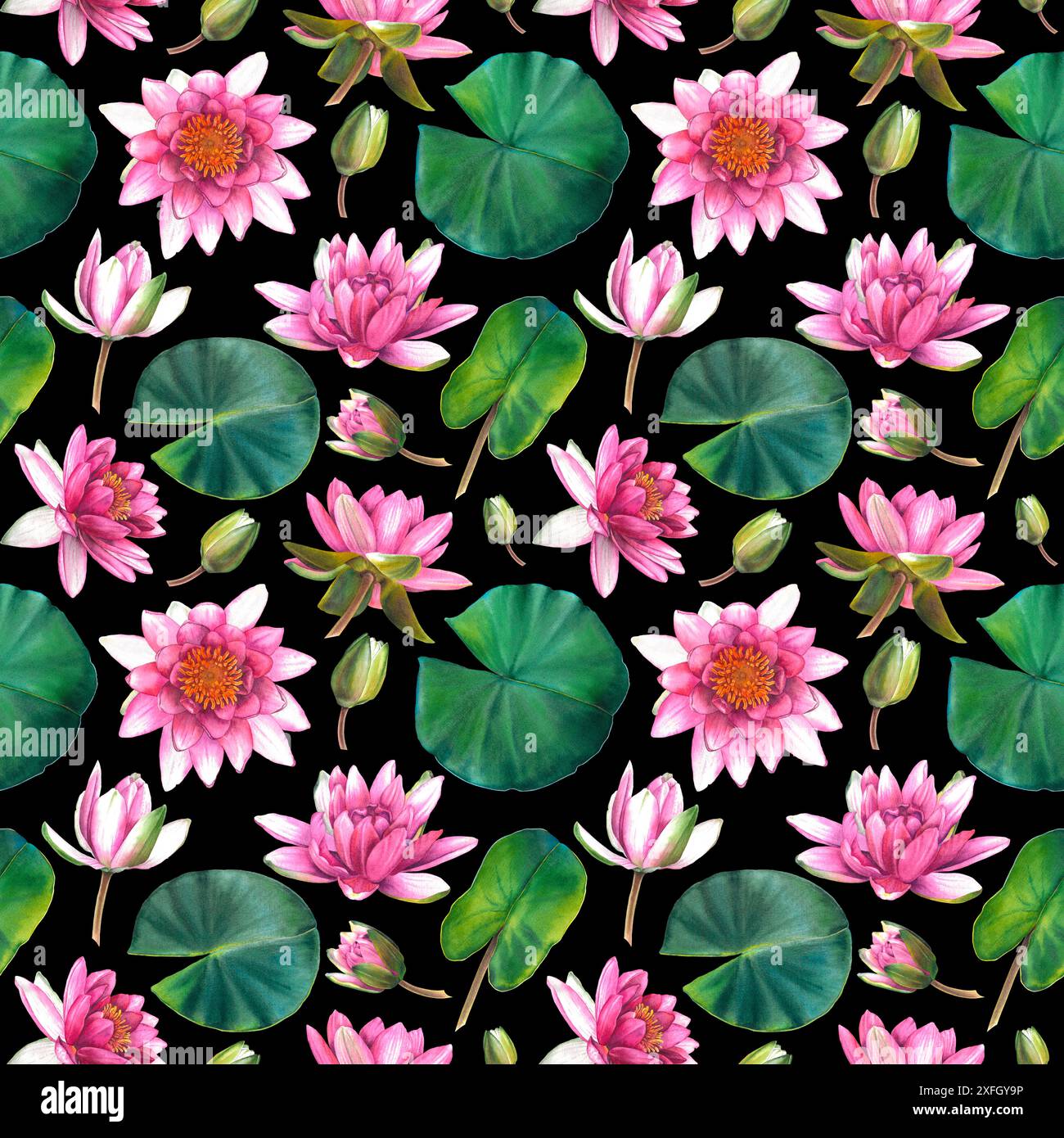 Seamless Pattern with green leaves, blooming water lily flowers and ...