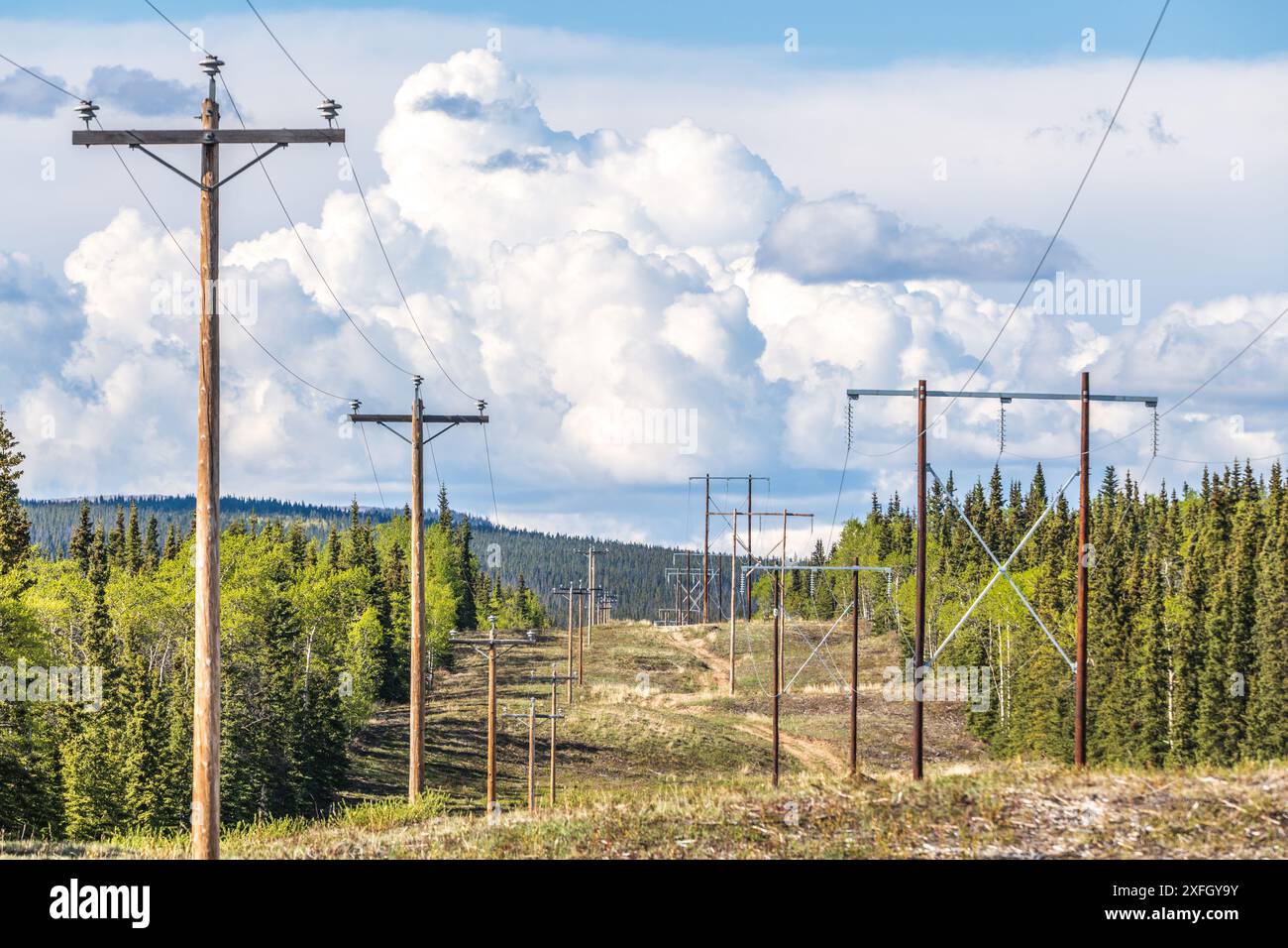 Electricity, power lines seen in rural Canada during summertime with ...