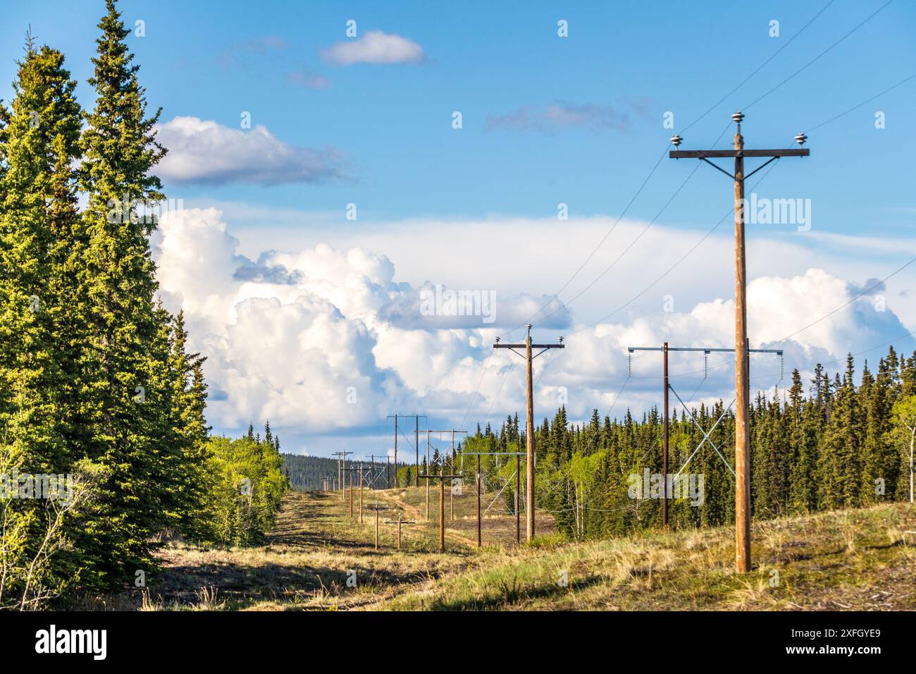 Electricity, power lines seen in rural Canada during summertime with ...