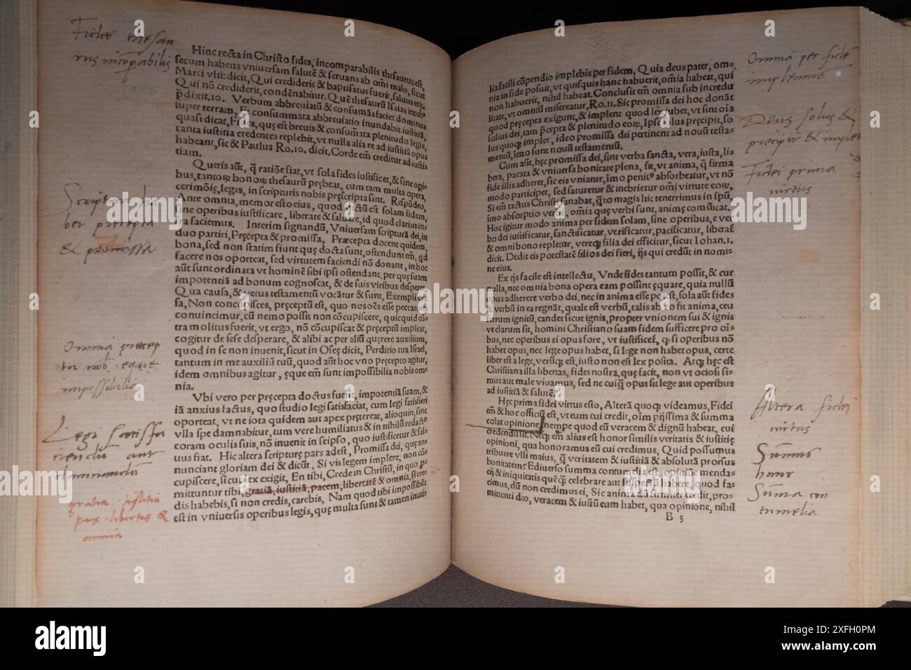 Selestat, France - 06 25 2024: Humanist Library. Herbarium. View of a ...