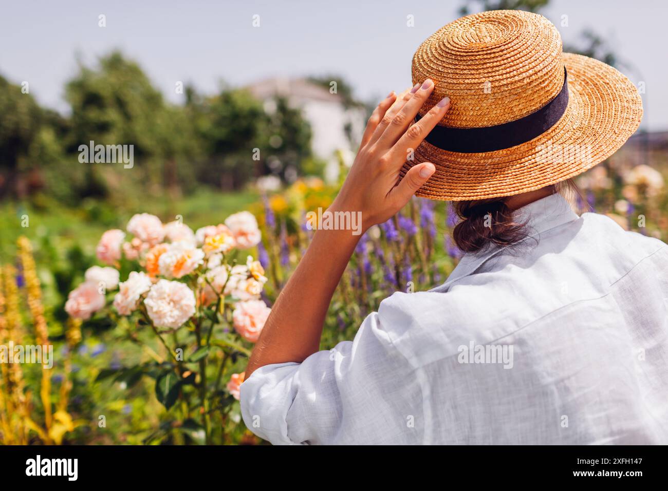 Back view of woman gardener wearing straw hat enjoying rose flowers in ...