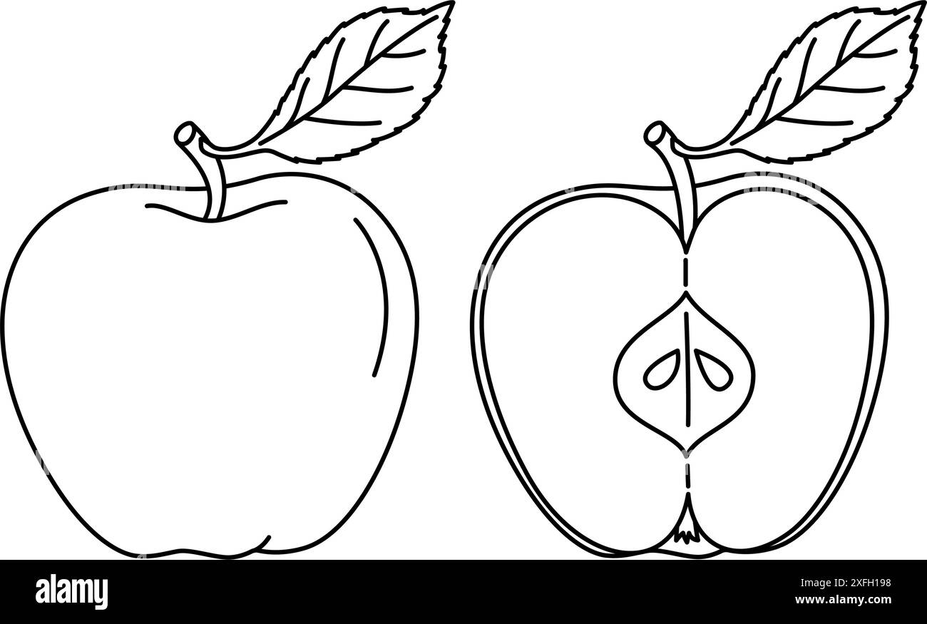 Whole and half apple with a leaf line art drawing coloring page. Ripe ...