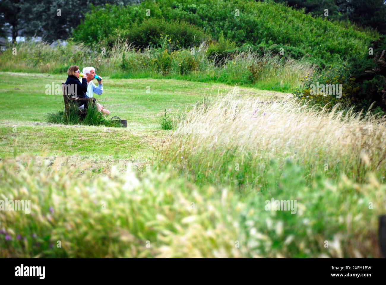 Couple drinking tea on bench Stock Photo - Alamy