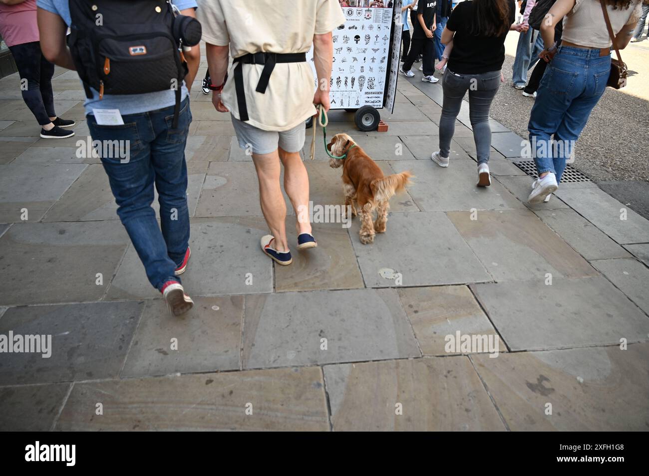 Oxford busy street with people walking cocker spaniel dog Stock Photo ...