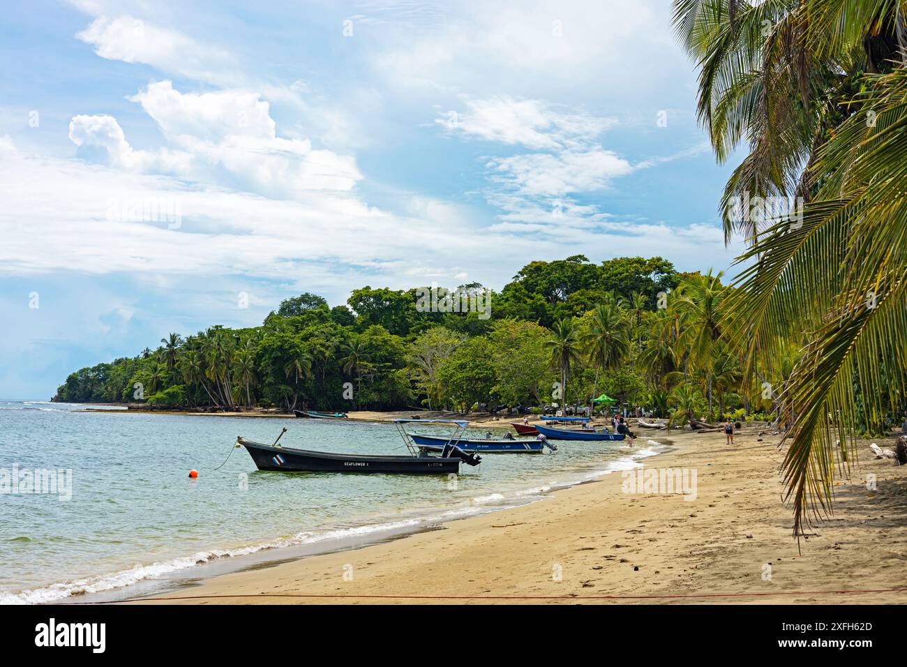 beach in Manzanillo in Costa Rica Stock Photo - Alamy