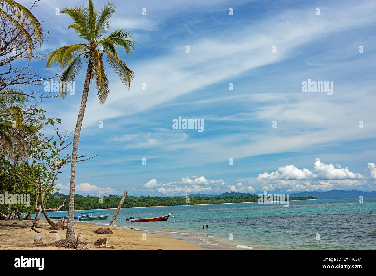 Limon manzanillo hi-res stock photography and images - Alamy