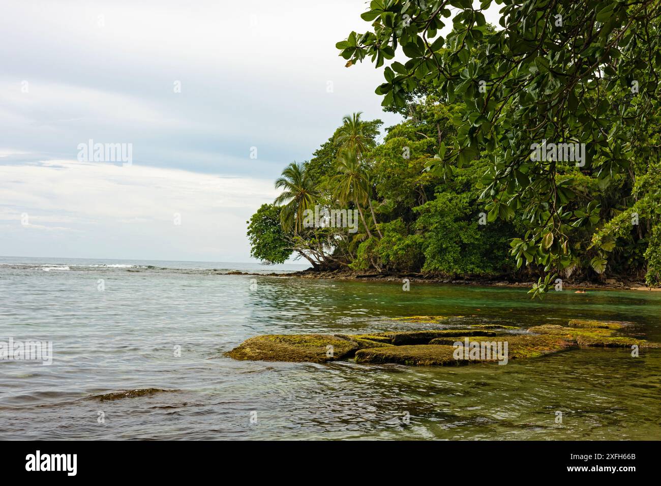 beach in the Refugio Nacional de Vida Silvestre Gandoca Manzanillo or ...